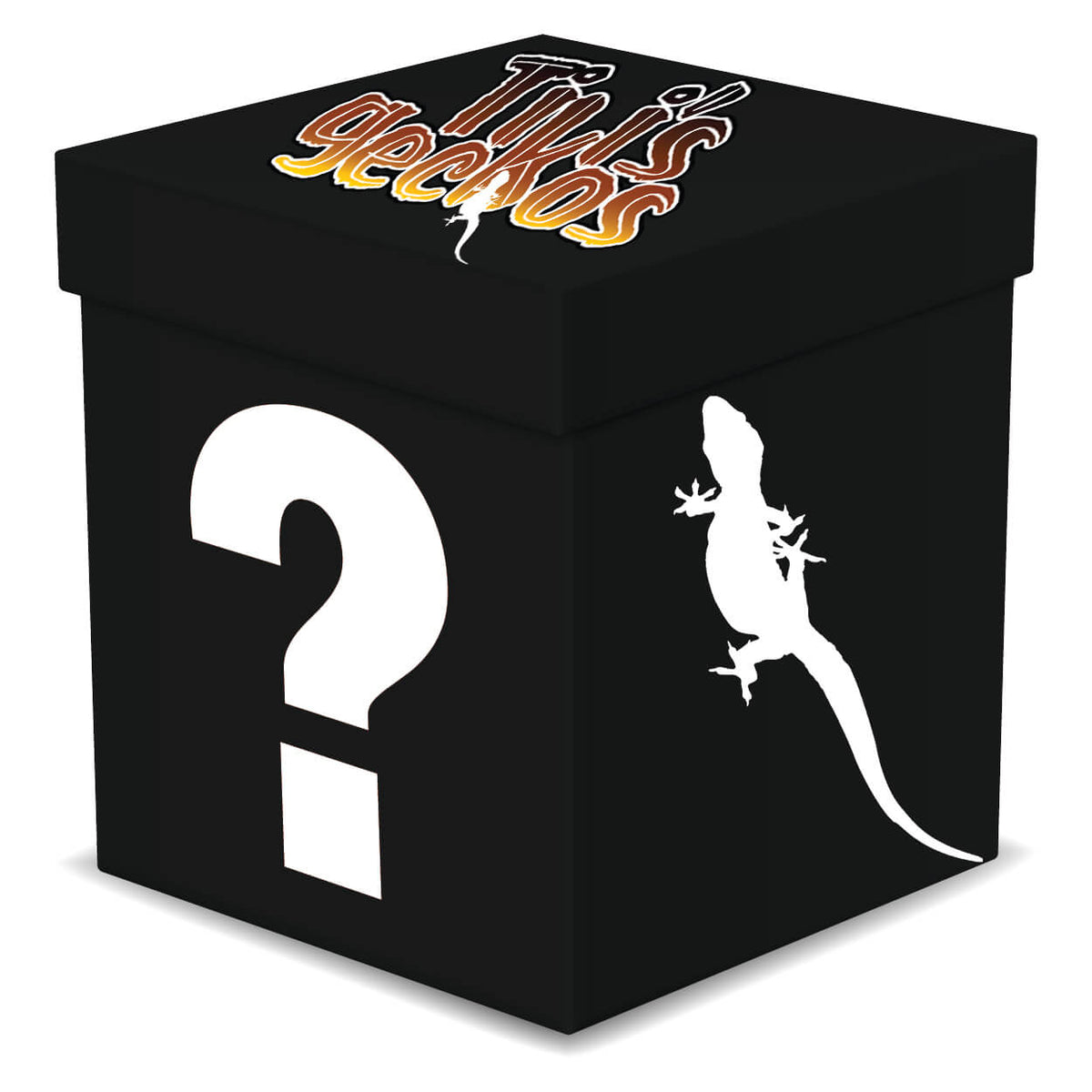 Crested Gecko Mystery Box – TikisGeckos